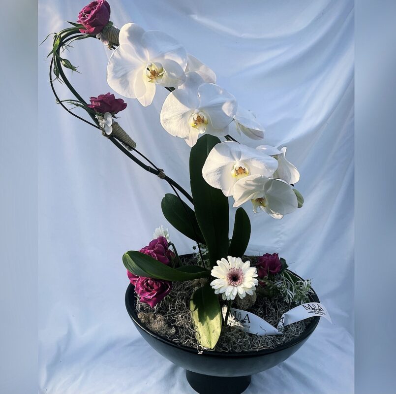 Fancy Orchids – MA Floral